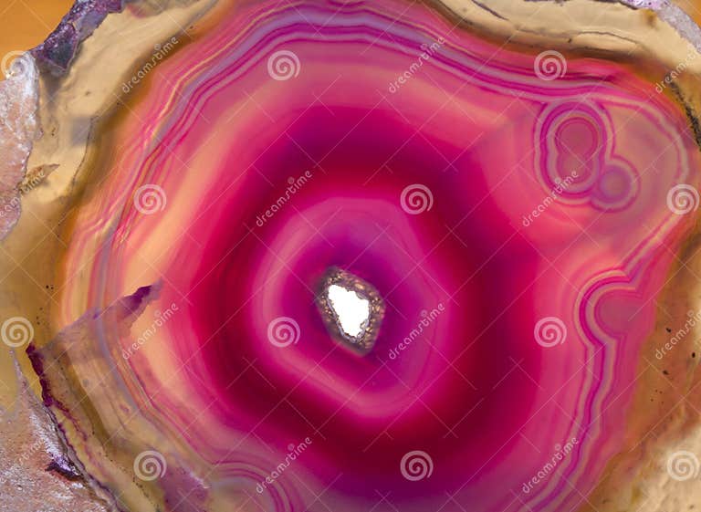 Pink Geode Cross-section stock image. Image of biology - 19669619