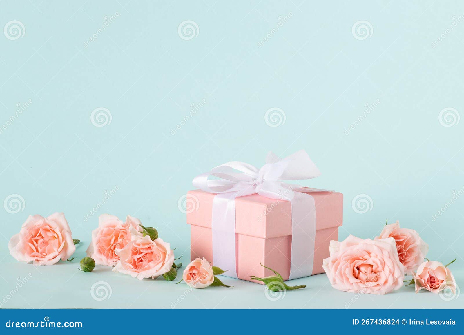 Pink Gift Box with a White Bow and a Bouquet of Roses on a Blue ...
