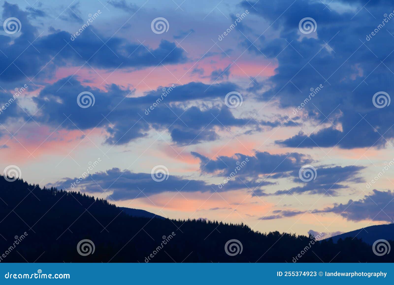Pink Glow on High Clouds after Sunset with Foreground Treeline Stock ...