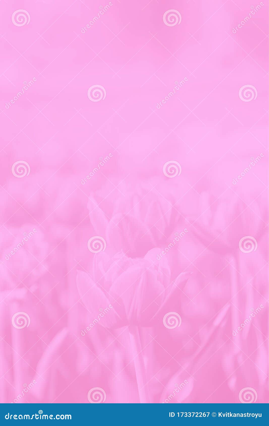Pink Gradient Abstract Background. Pastel. Tulips Flowers Pattern Stock ... Pink Gradient Abstract Background. Pastel. Tulips Flowers Pattern Stock ...