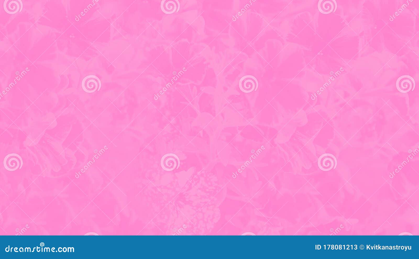 Pink Gradient Background, Flower Pattern. 16:9 Panoramic Format Stock ...