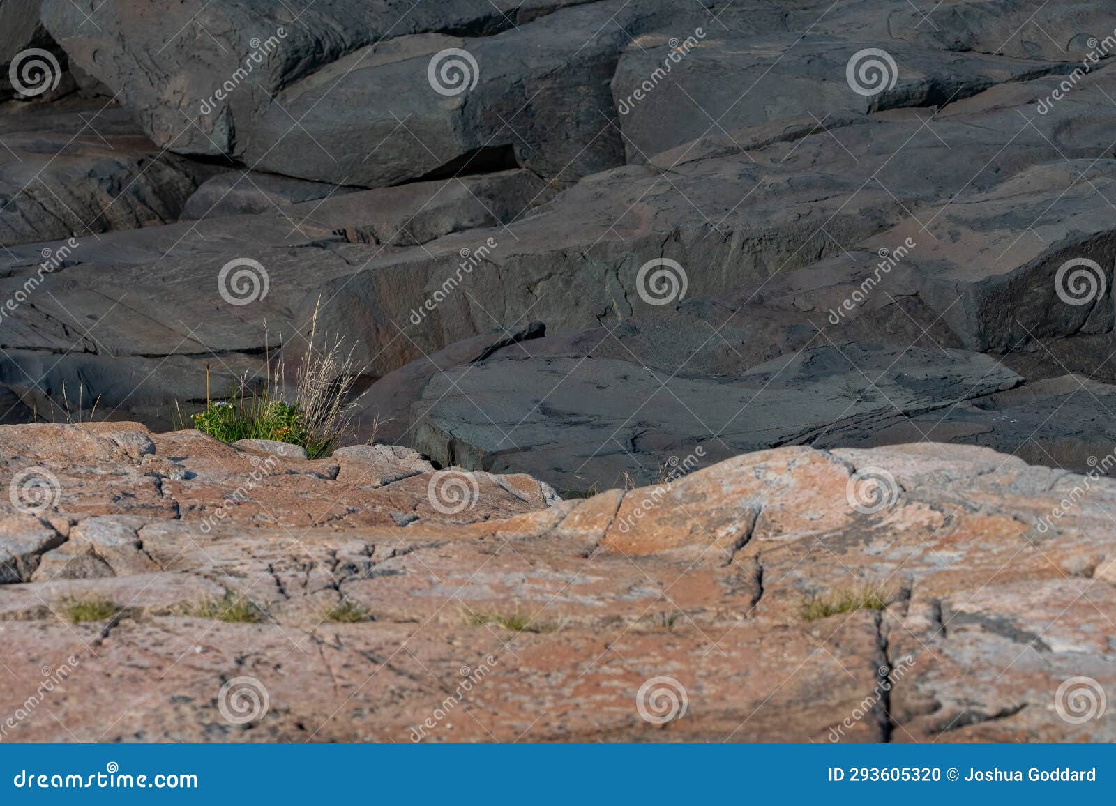 Pink Granite and Black Slate Divide at Schoodic Point in Maine Stock ...
