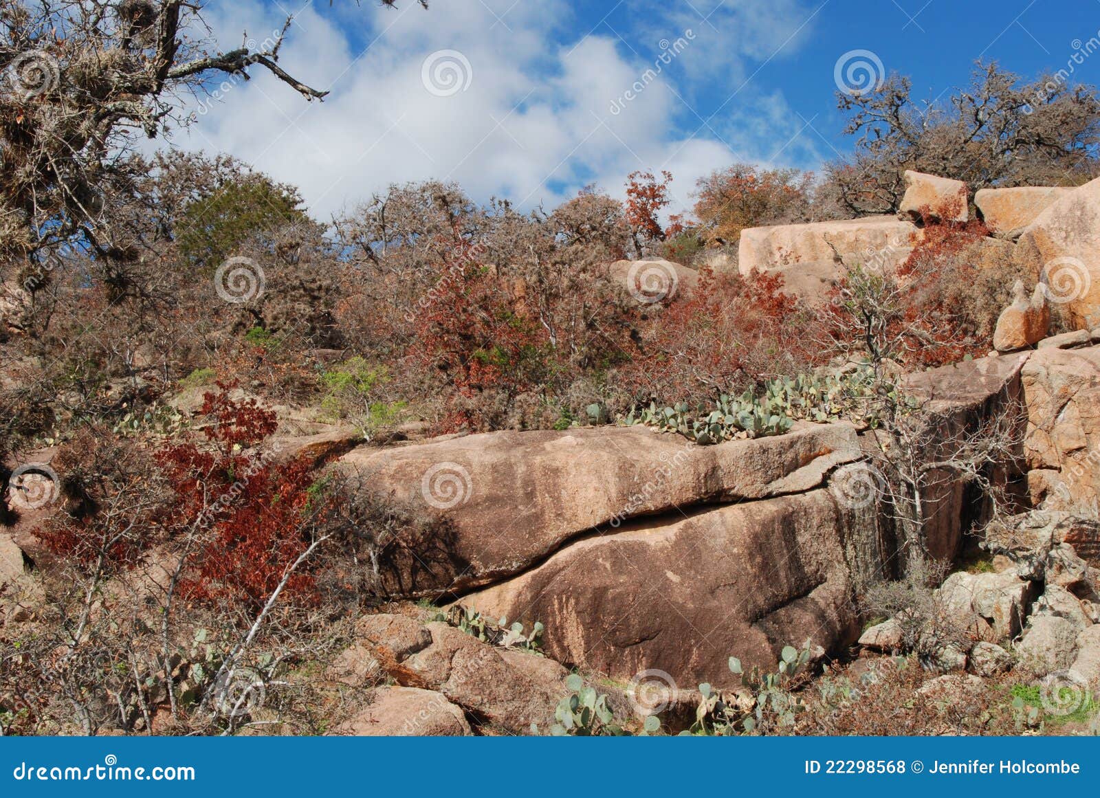 Pink Granite Boulders and Autumn Scrub in the West Stock Photo - Image ...