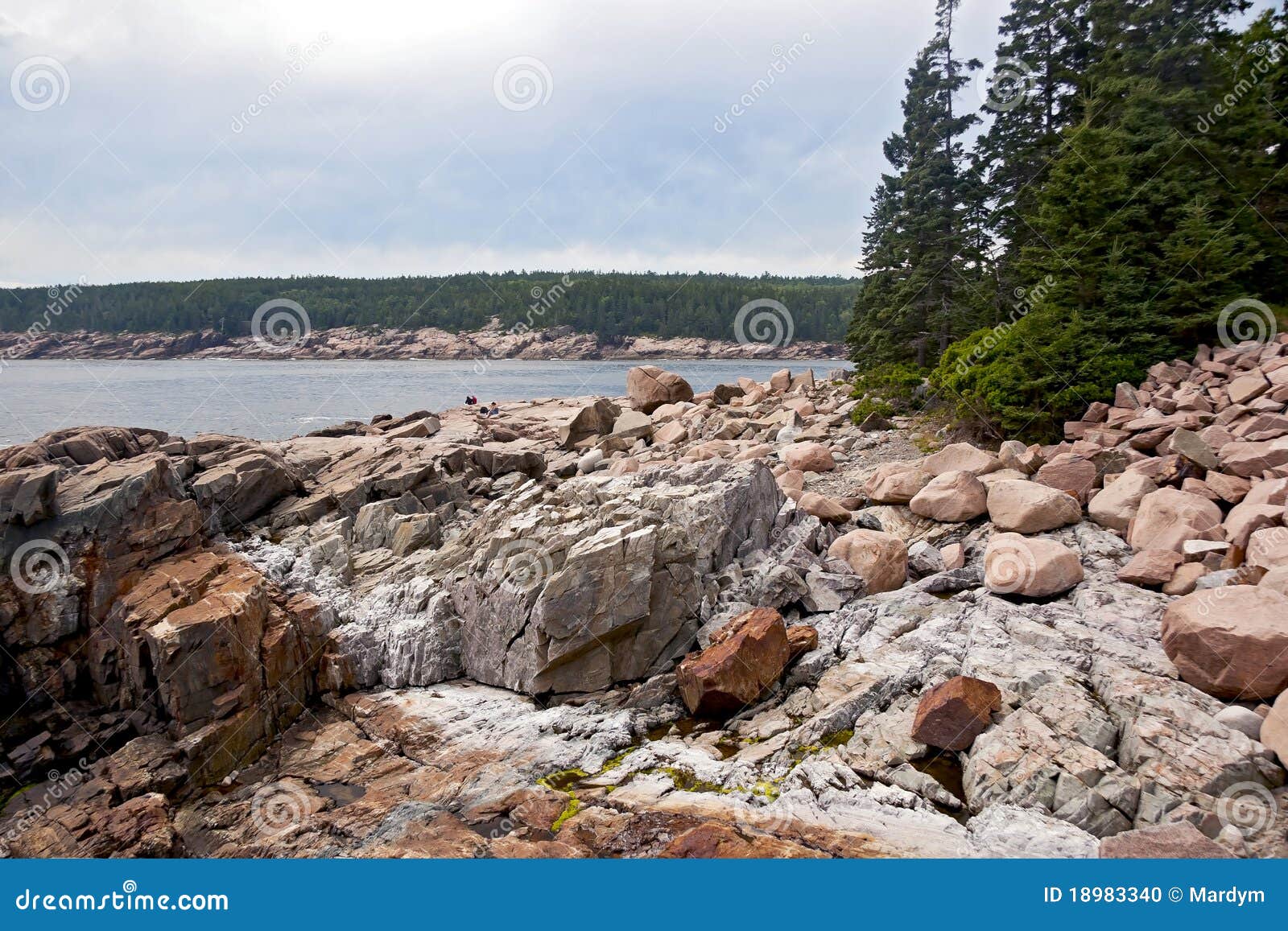 Pink Granite Coast of Acadia National Park Stock Photo - Image of ...