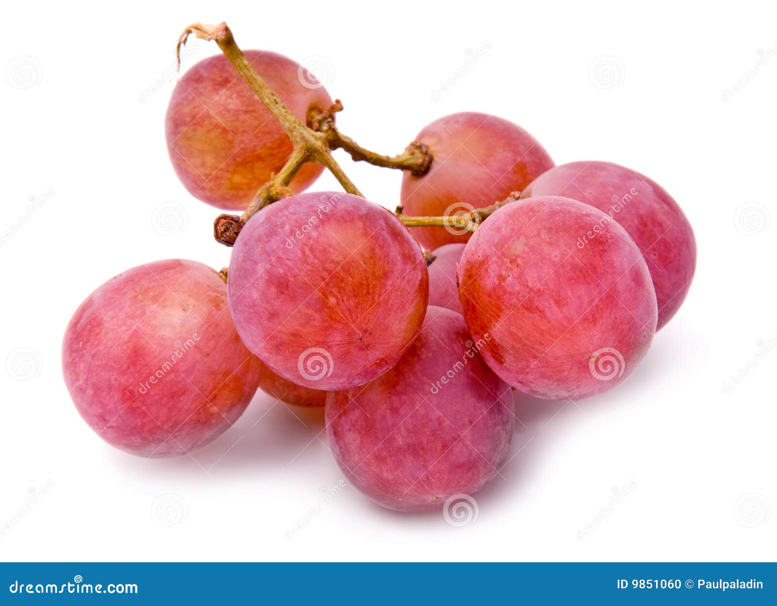 Pink grape stock photo. Image of pink, harvest, decoration - 9851060