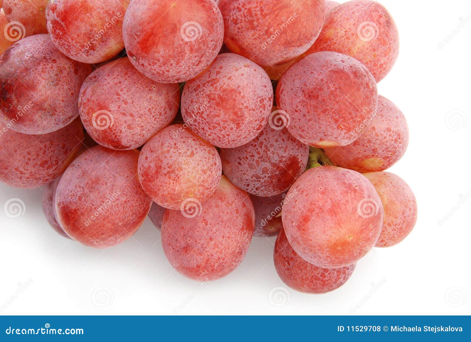 Pink grape in detail stock photo. Image of natural, grow - 11529708
