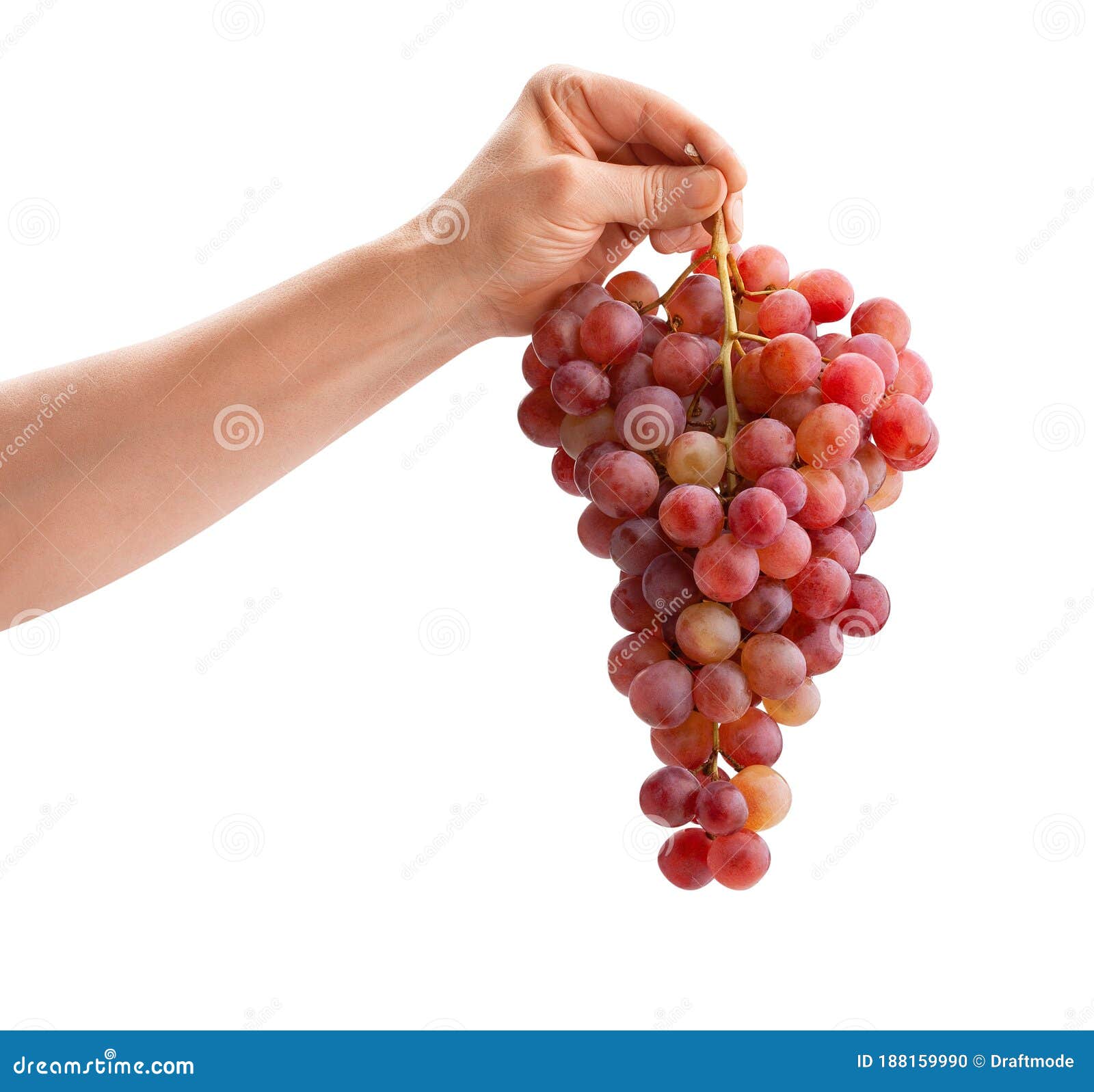 Pink grape stock photo. Image of nutrient, white, single - 188159990