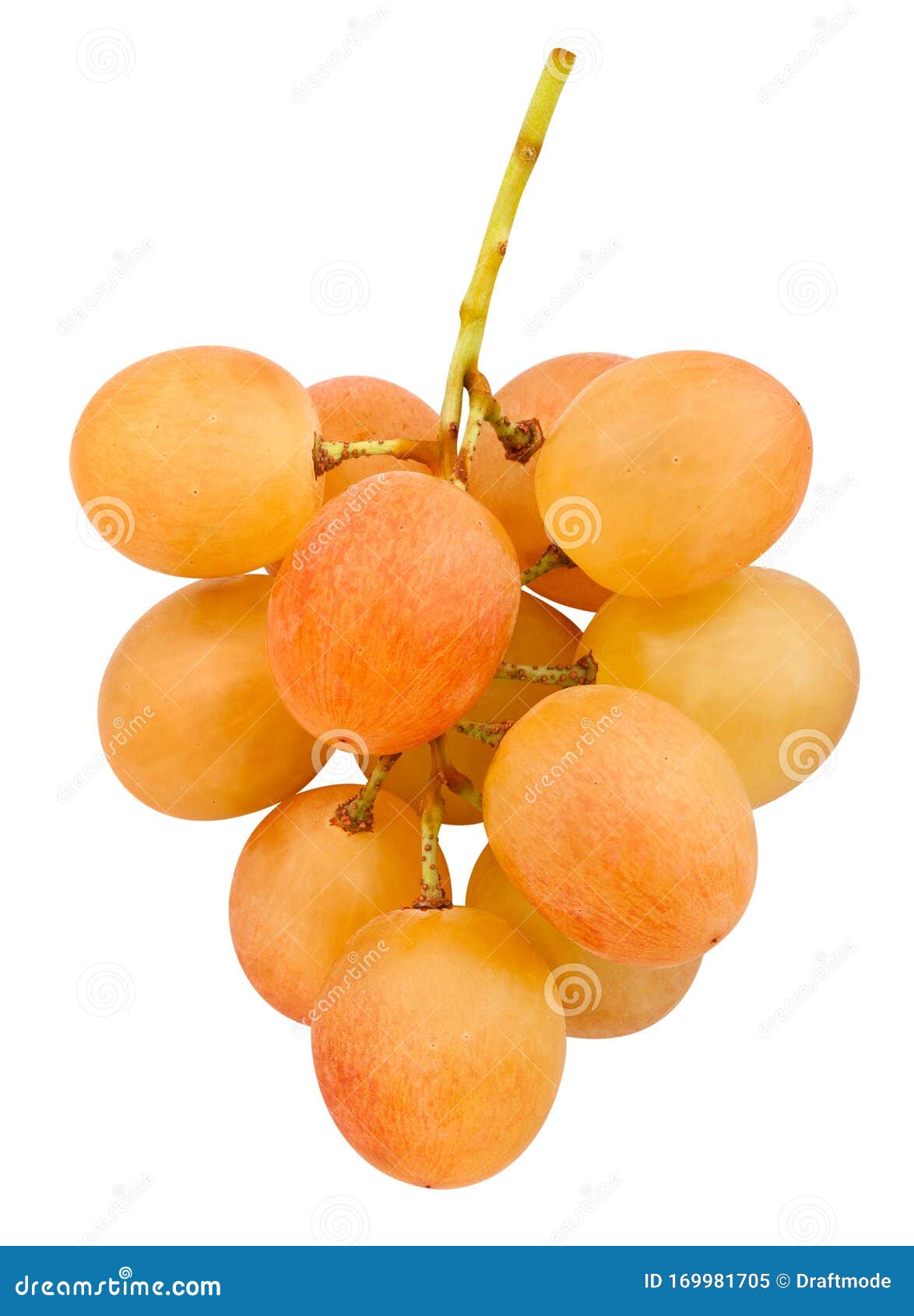 Pink grape stock image. Image of clipping, food, striped - 169981705