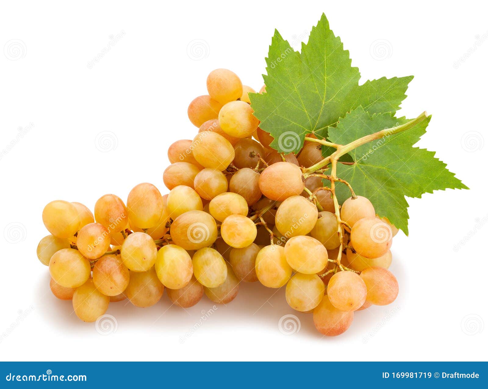 Pink grape stock image. Image of cluster, path, clipping - 169981719