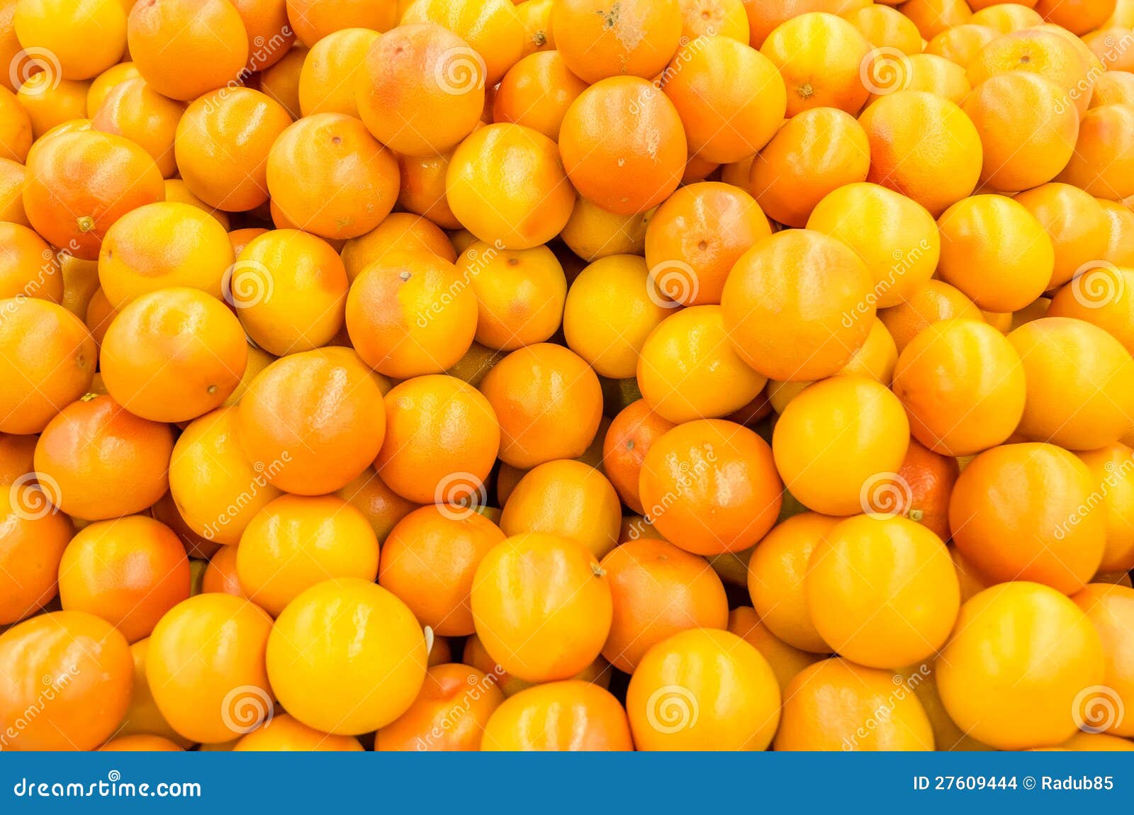 Pink Grapefruit stock photo. Image of freshness, colored - 27609444