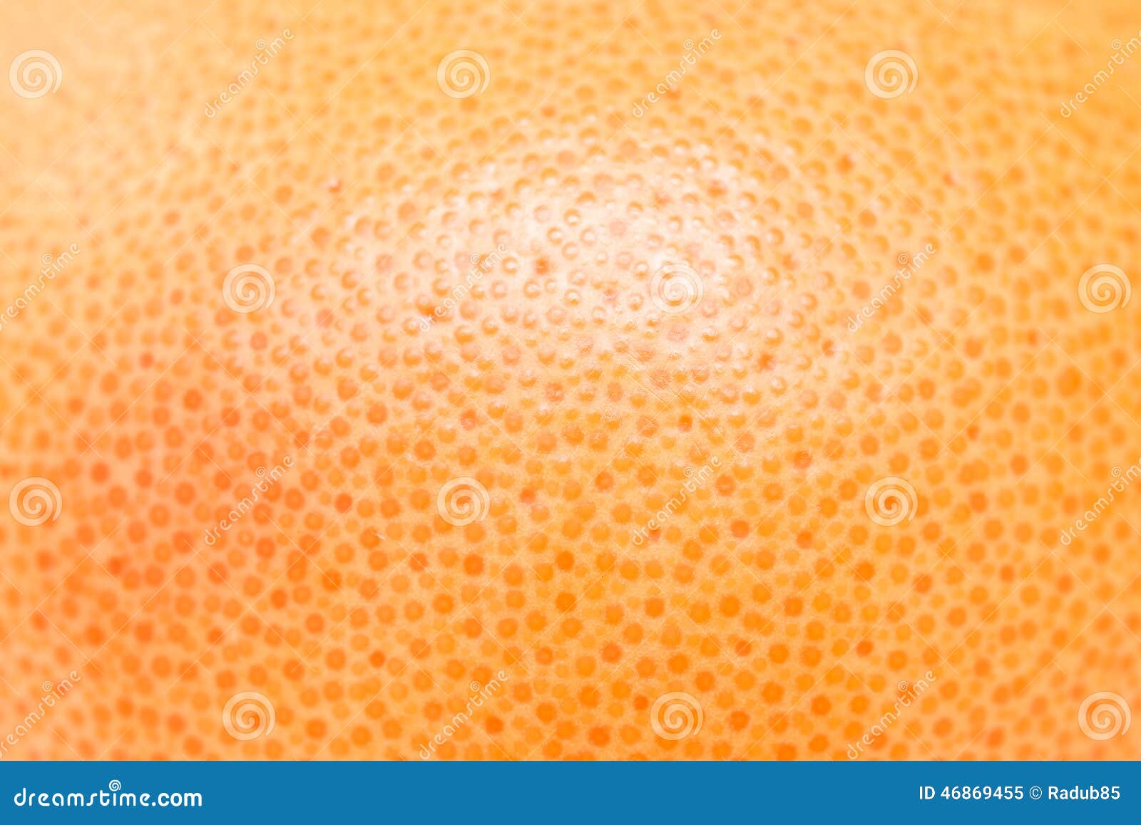 Pink Grapefruit Texture stock image. Image of nature - 46869455