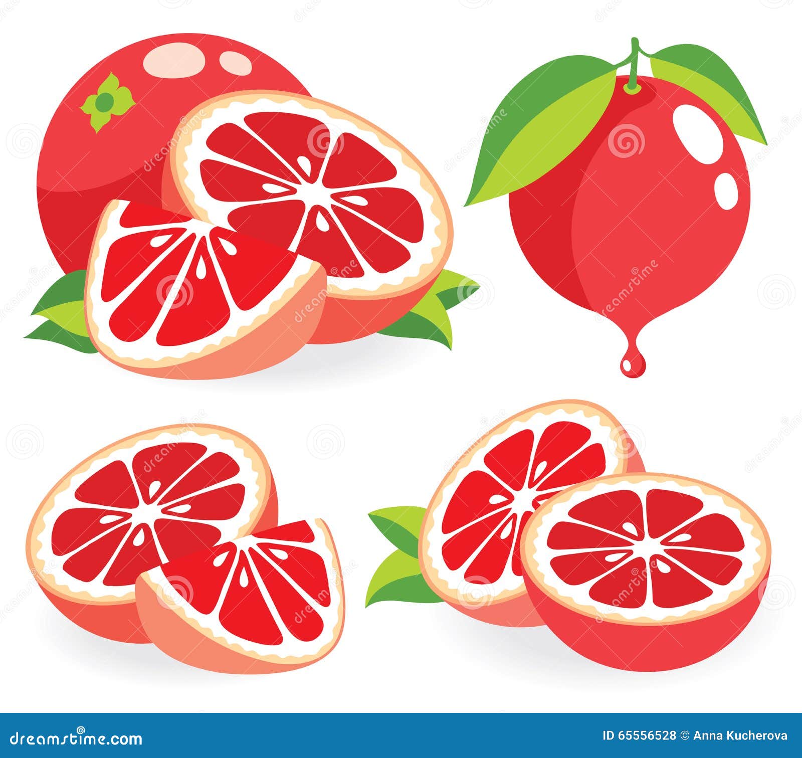 Pink Grapefruits Vector Illustrations Stock Vector - Illustration of ...