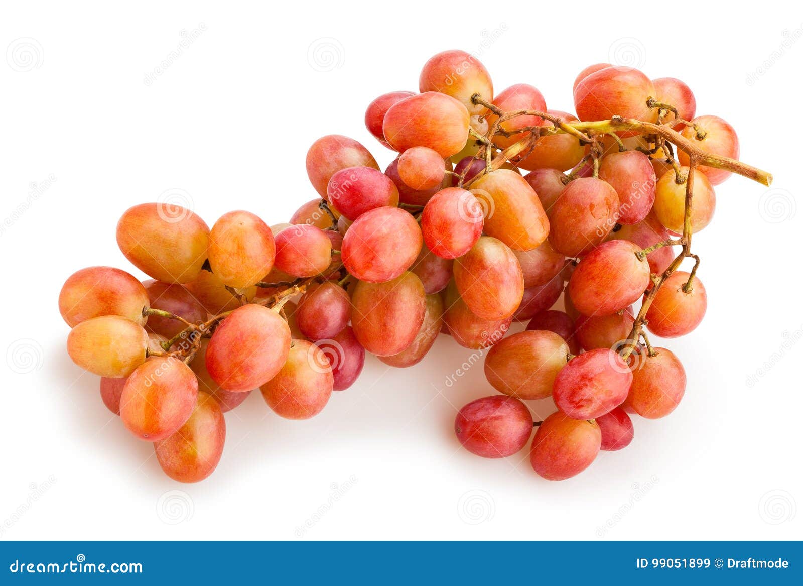727 Big Pink Grape Stock Photos - Free & Royalty-Free Stock Photos from ...