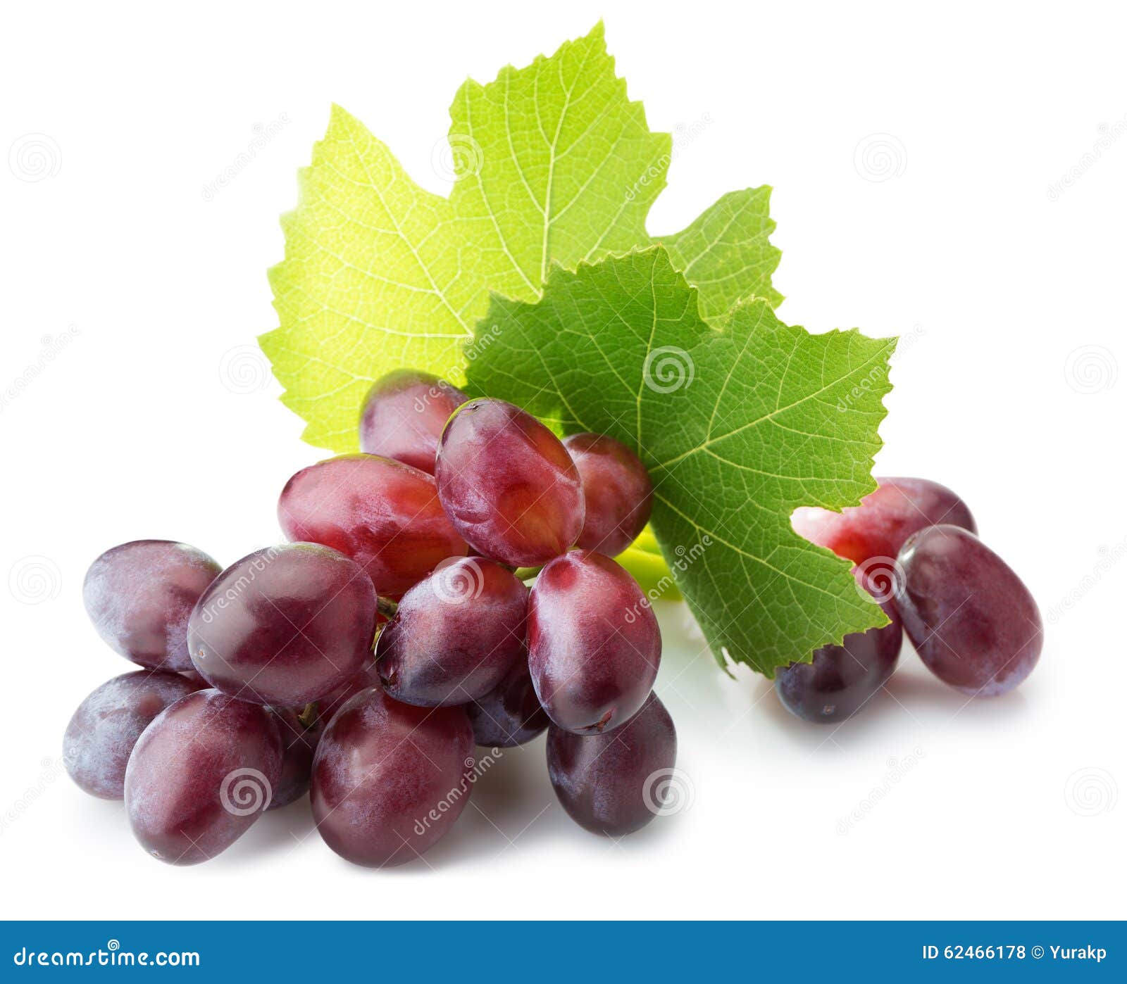 Pink Grapes Isolated on the White Background Stock Photo - Image of ...