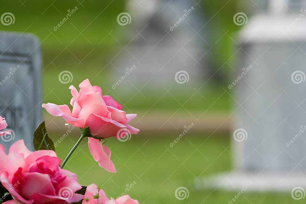 Pink grave flowers stock image. Image of tombstones, yard - 14498125