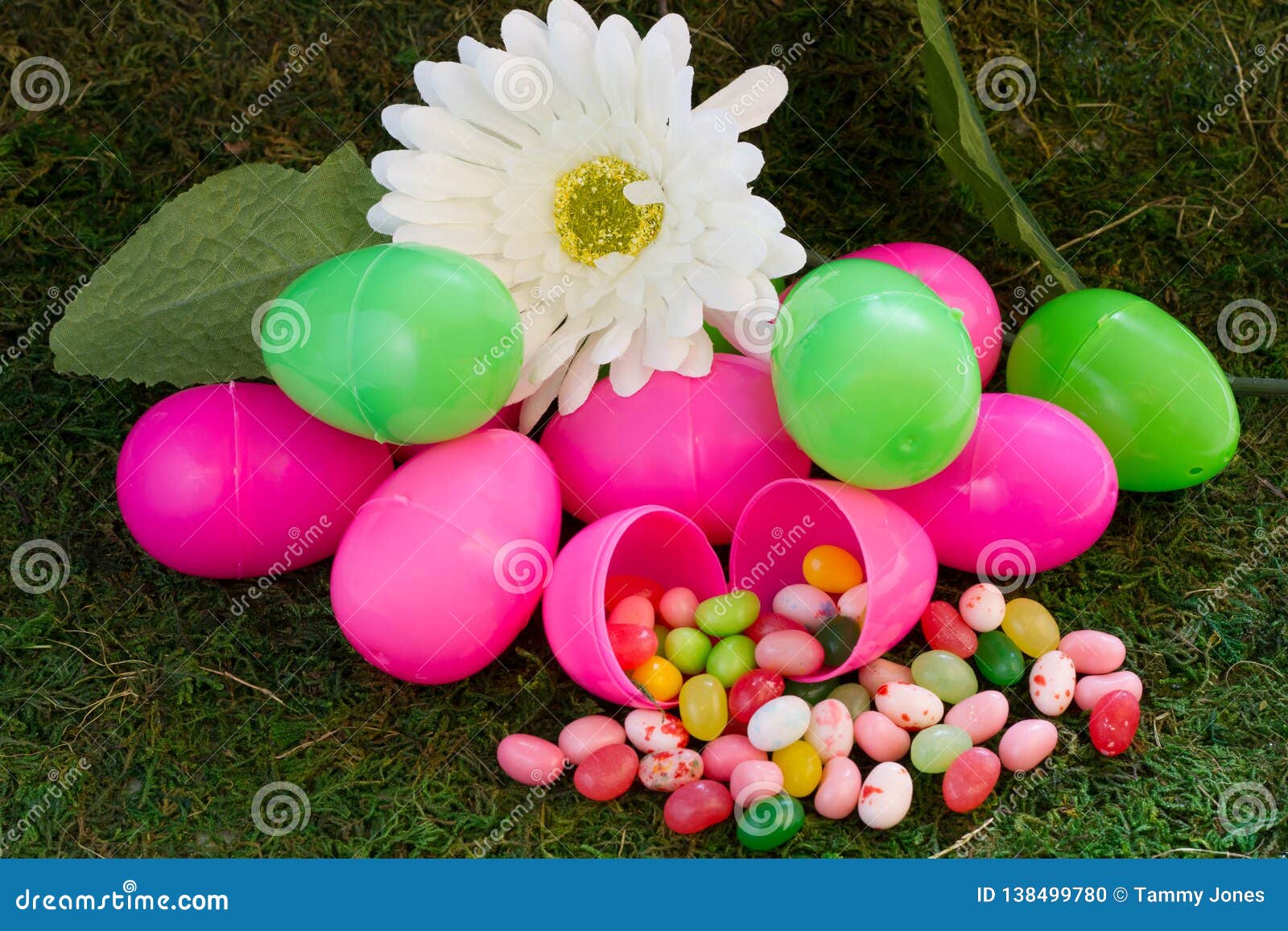 Pink and Green Easter Eggs with Jelly Beans on Daisy on Green Grass ...