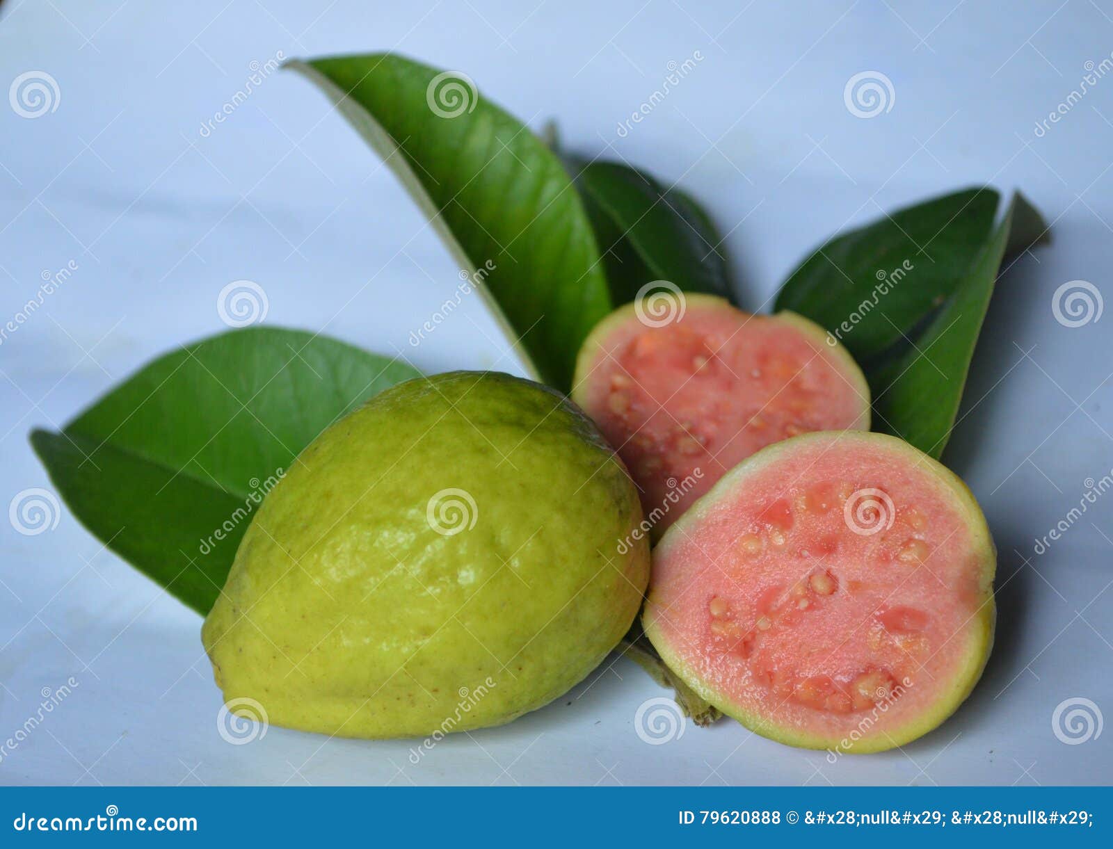 Pink guava stock photo. Image of verdurous, summer, delicious - 79620888