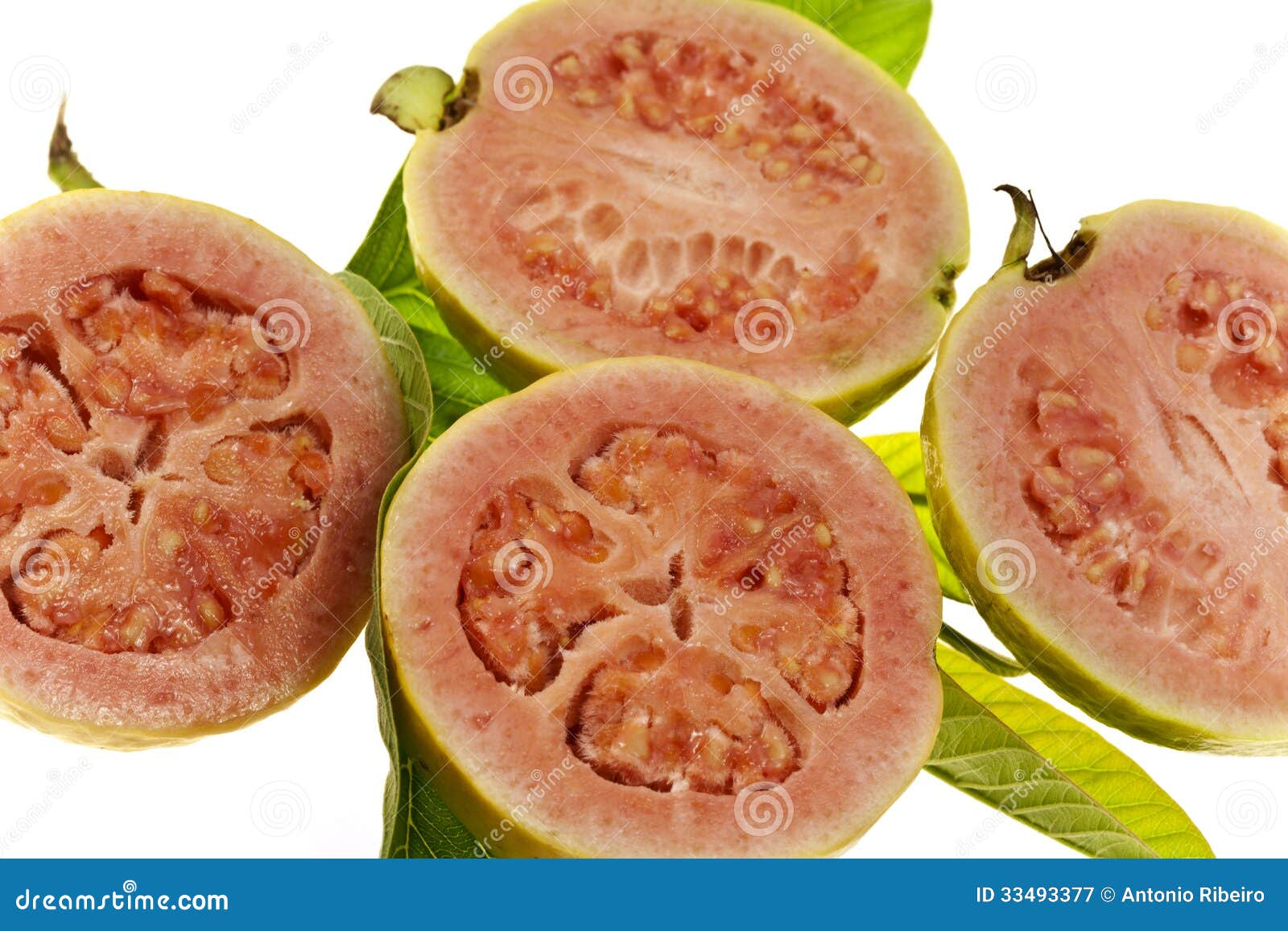 Pink Guava Fruit stock image. Image of organic, fresh - 33493377