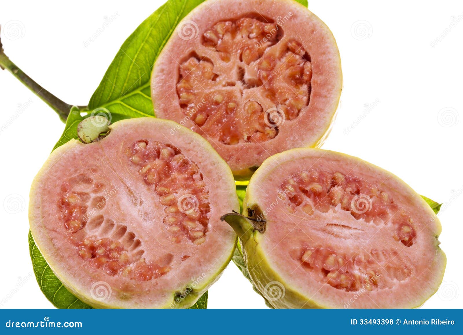 Pink Guava Fruit stock photo. Image of delicious, guava - 33493398
