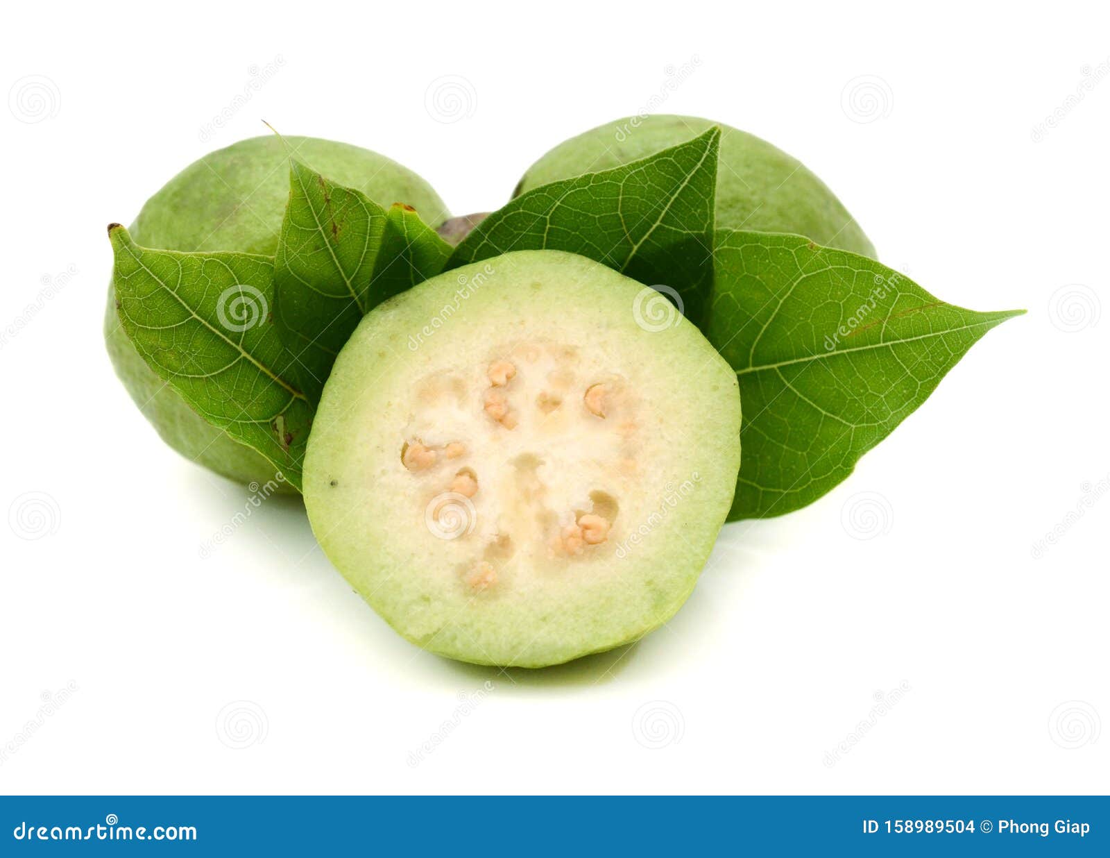 Guava. stock photo. Image of exotic, fruit, nature, green - 158989504
