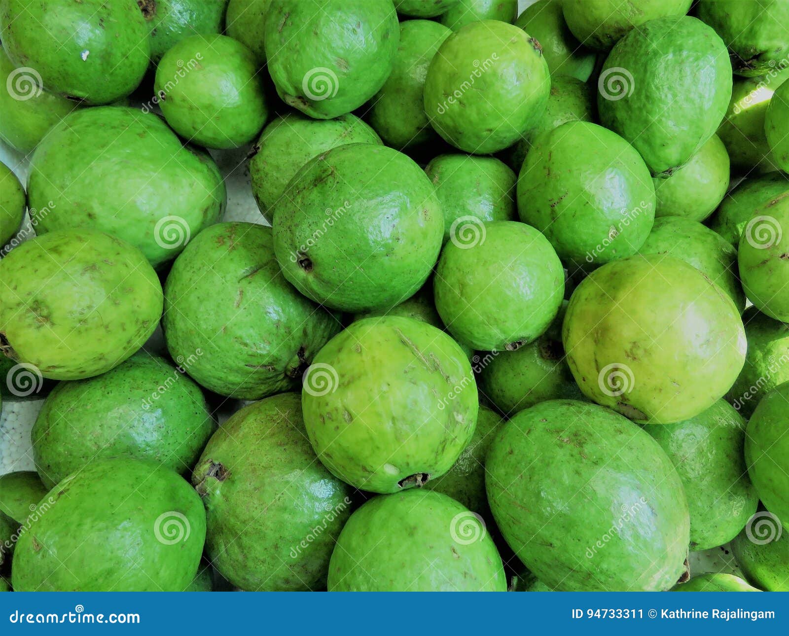 Pink Guava stock image. Image of pinkguava, vitaminc - 94733311