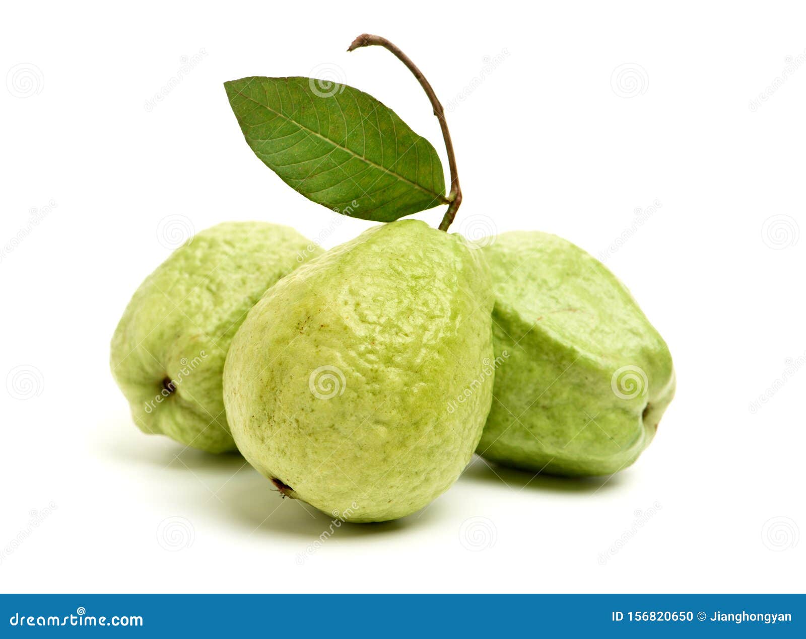 Pink guava stock photo. Image of eating, java, abstract - 156820650