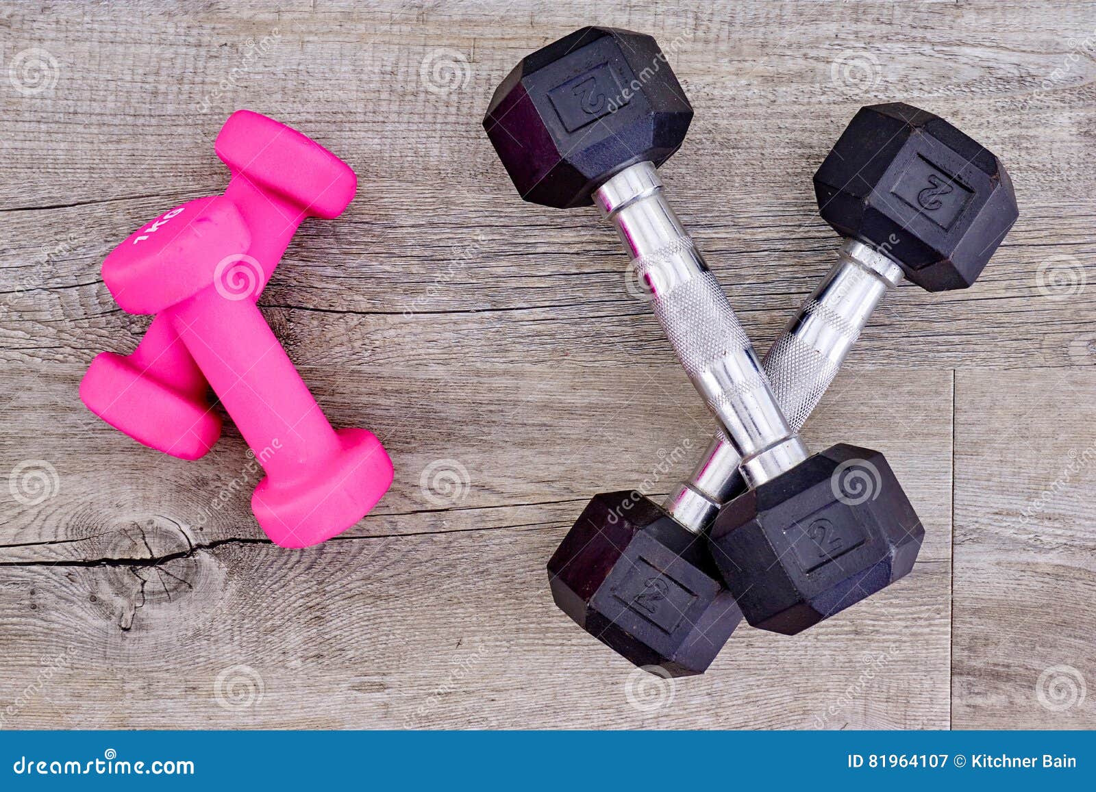 Pink Gym Dumbbell stock image. Image of physical, body - 81964107