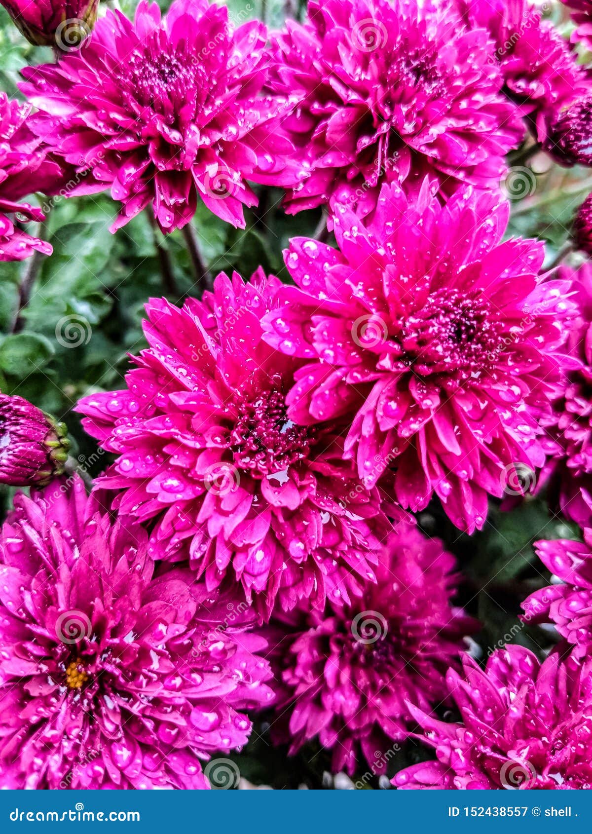 Happy Colour Royalty-Free Stock Photography | CartoonDealer.com #47969399