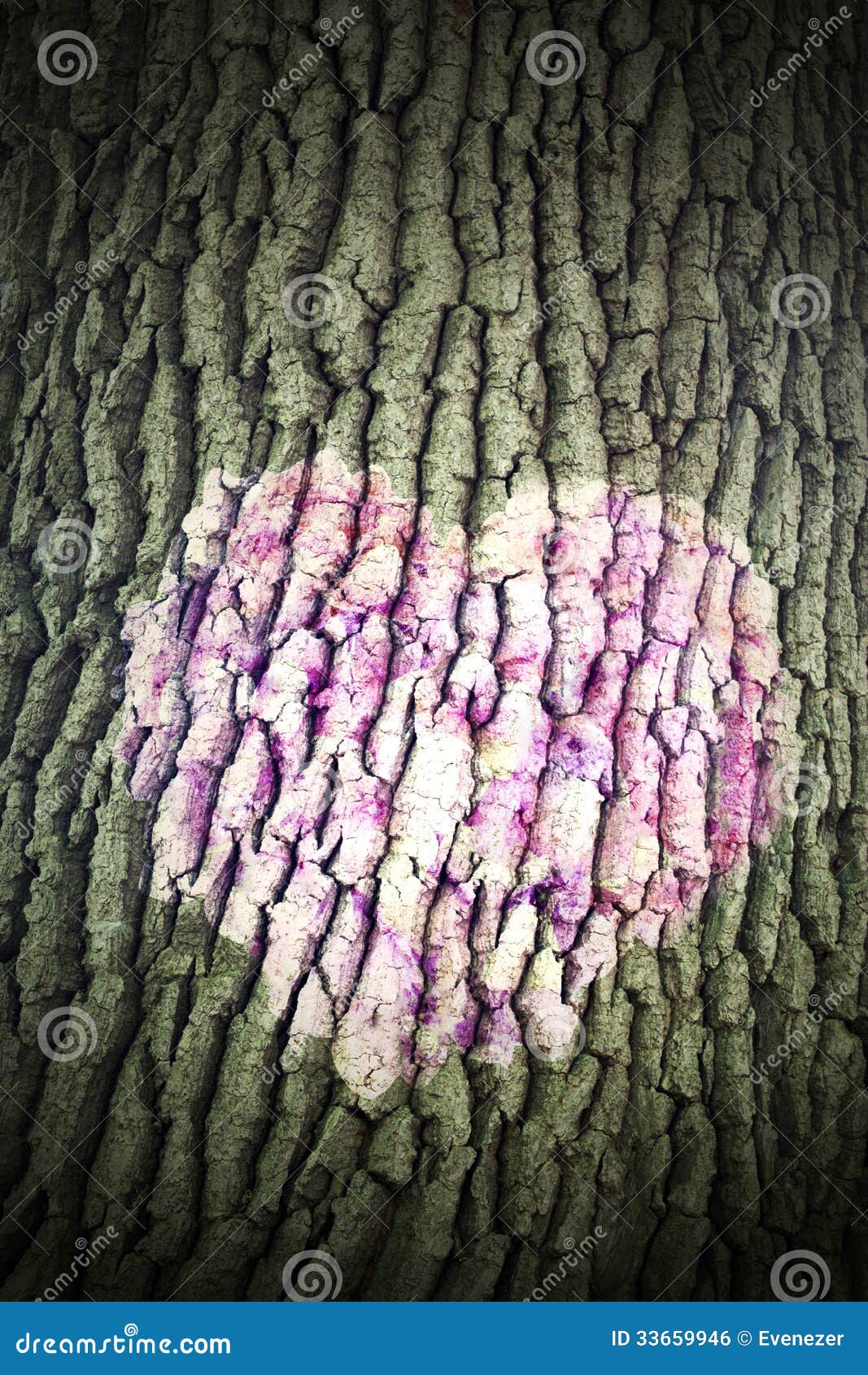 Pink heart on tree bark stock photo. Image of destruction - 33659946