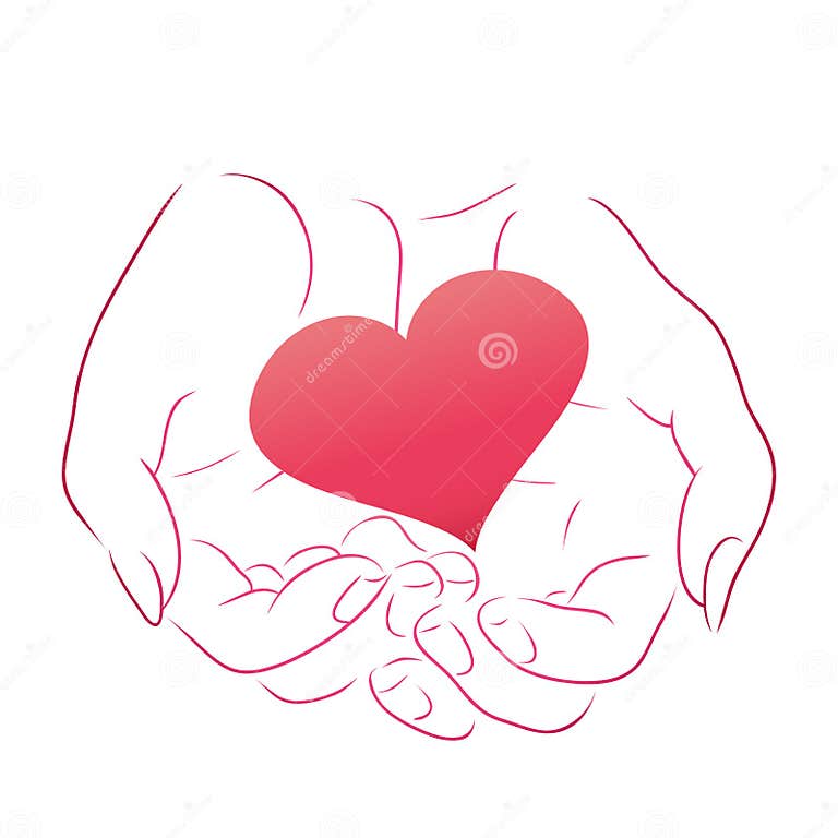 Pink Heart In Women Contour Hands Stock Vector Illustration Of Lover