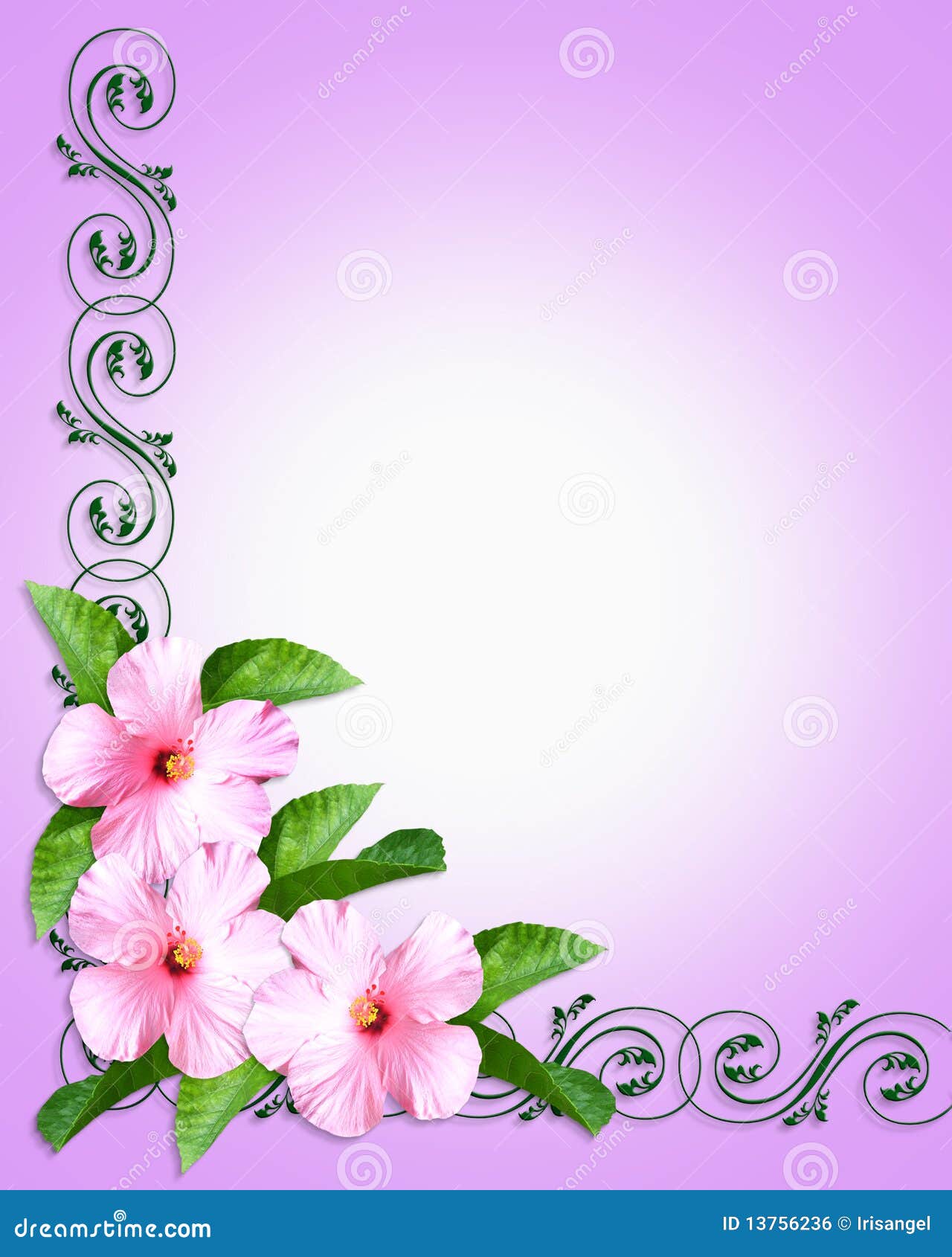 Pink Hibiscus Flower Watercolor Painting Stock Photography ...