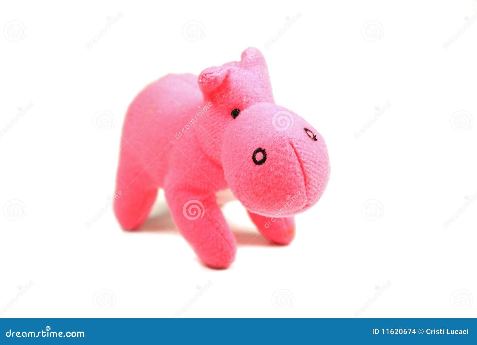 Pink hippo stock photo. Image of hippo, hippopotamus - 11620674