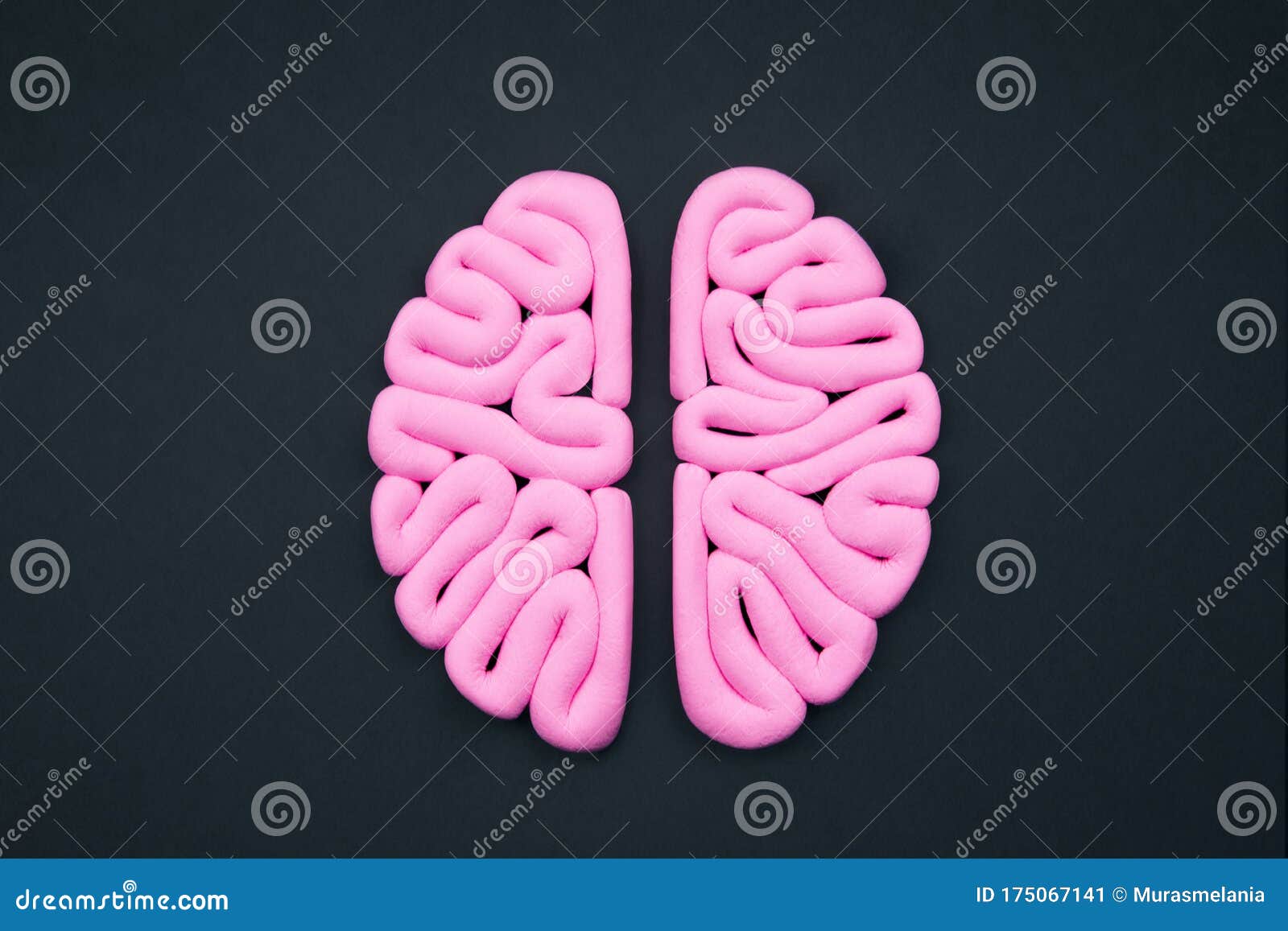 Pink Human Brain on Black Background Flat Lay. Intelligence Concept ...