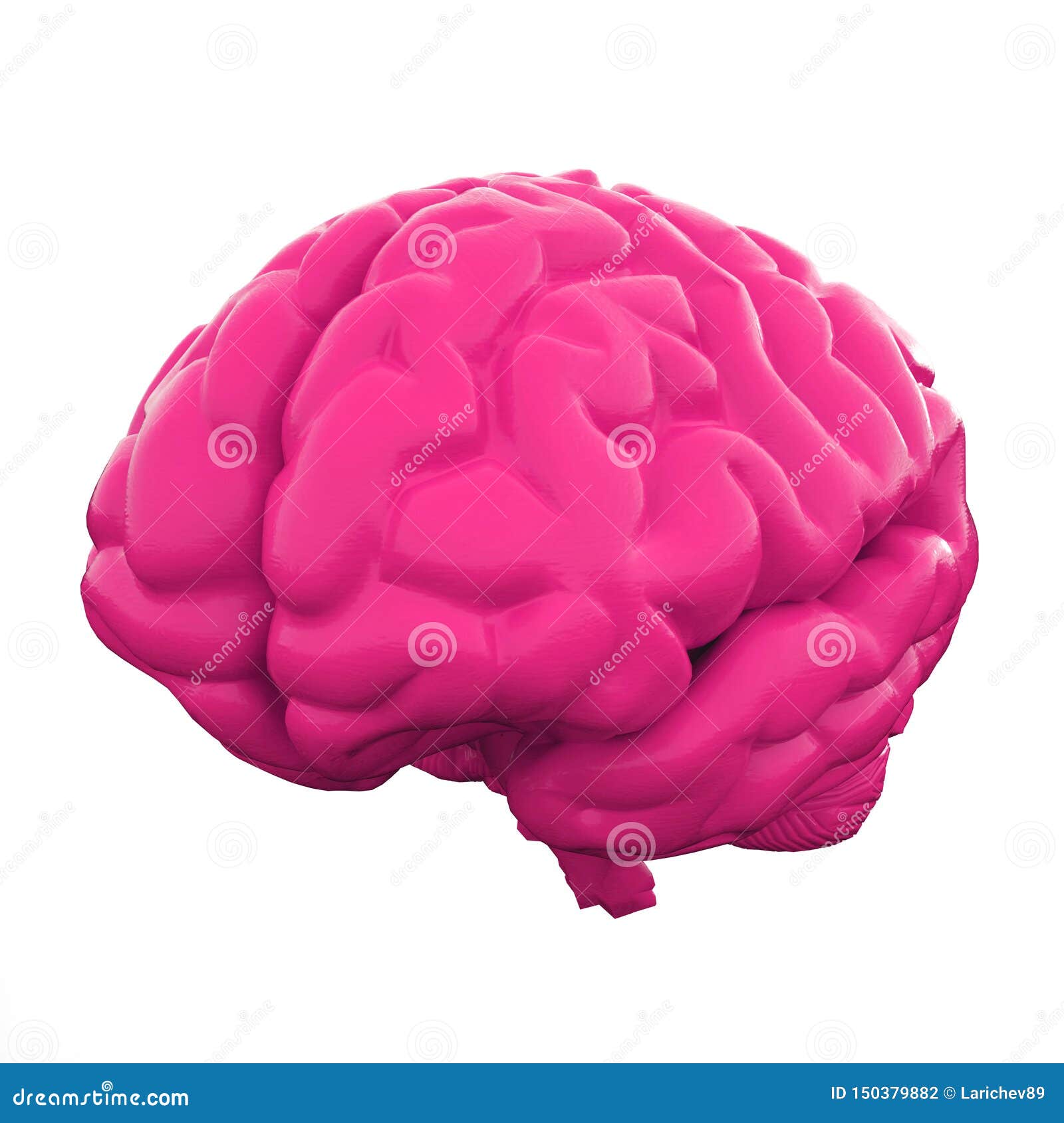 Pink Human Brain Isolated on White Background. 3d Illustration Stock ...