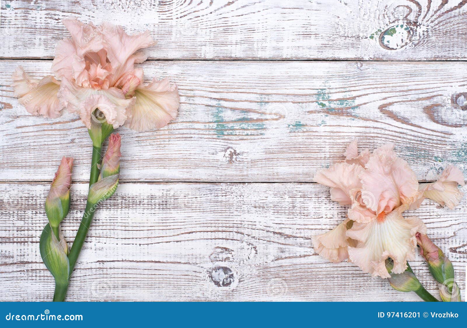 Pink Iris Flowers on Wooden Table. Top View, Copy Space. Stock Image ...