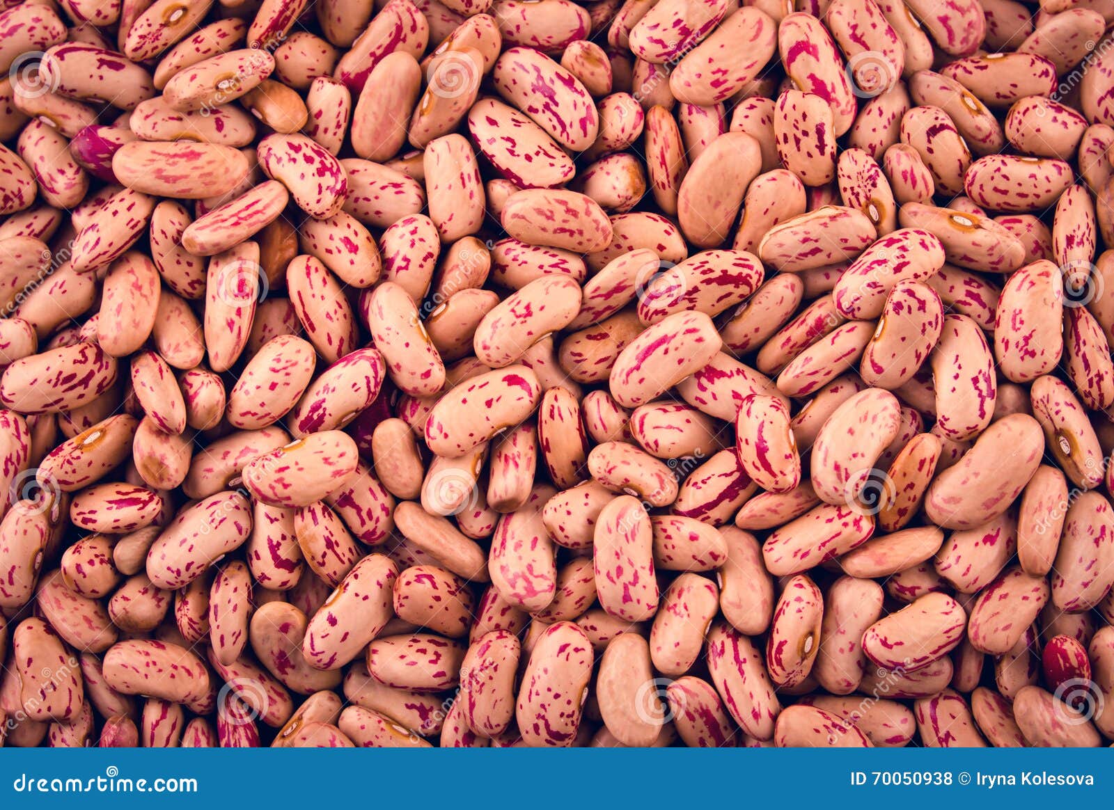 Pink kidney beans texture stock photo. Image of brown - 70050938
