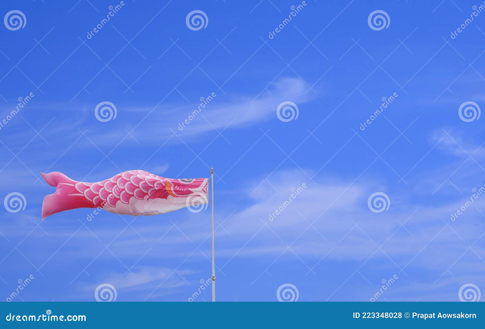 Pink Koi Fish Flag Against White Cloud and Blue Sky Stock Photo - Image ...