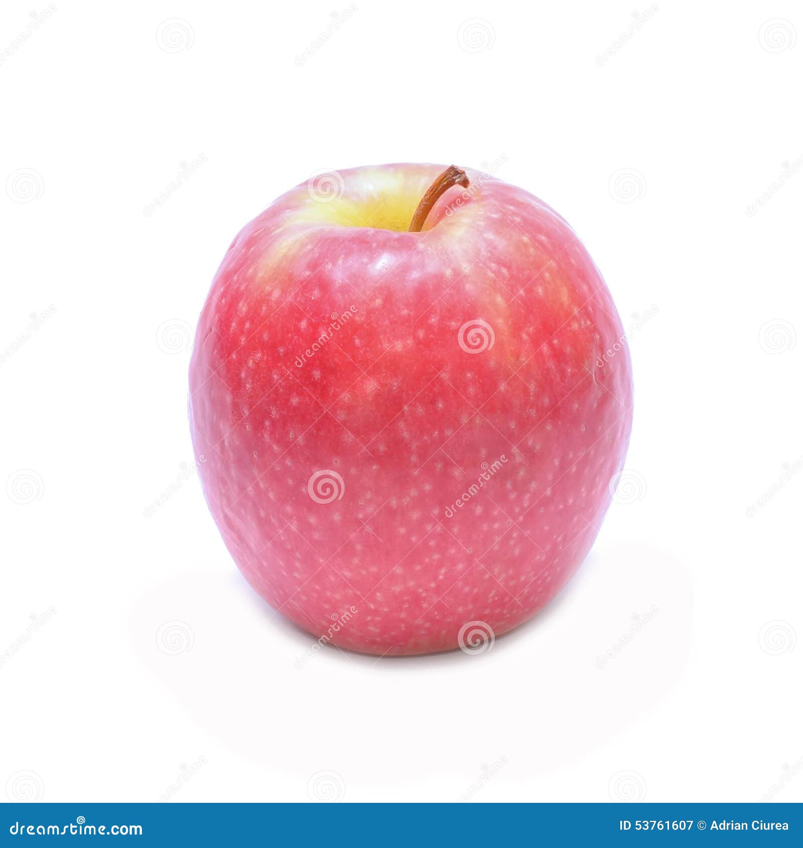 Pink Lady apple stock image. Image of smooth, tasty, vegan - 53761607