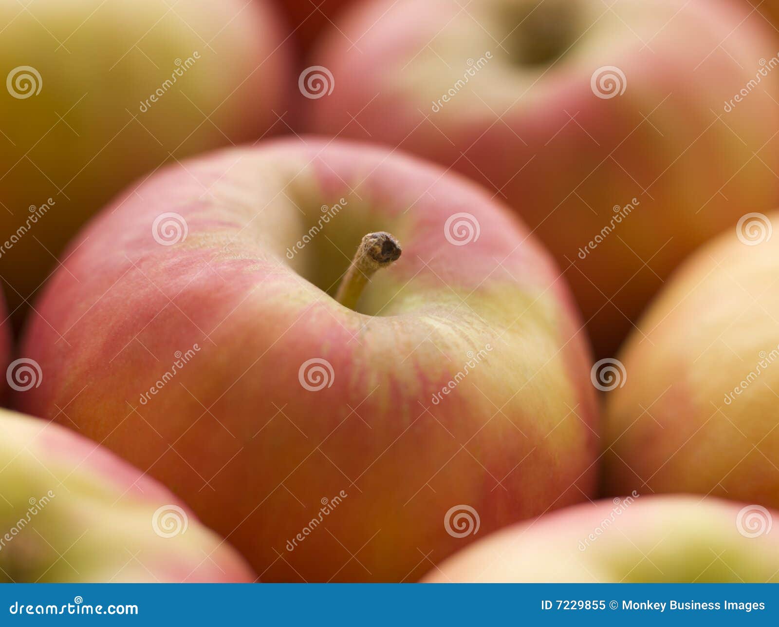 Pink Lady Apples stock image. Image of objects, abundance - 7229855