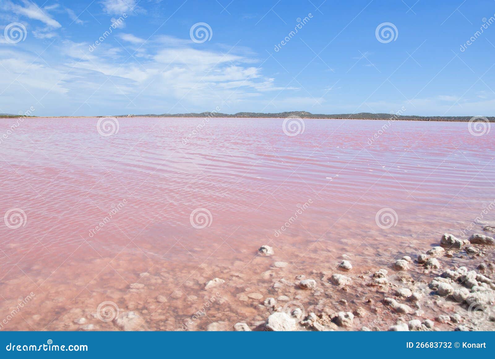 Pink Lake, Western Australia Stock Photo - Image of colorful, horizon ...