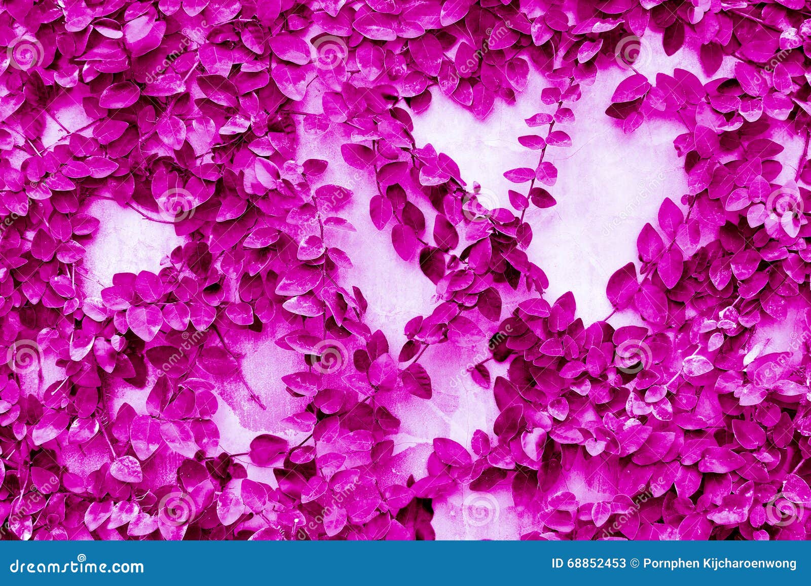 Pink Leaves Wall Background. Stock Image - Image of natural, outdoor ...