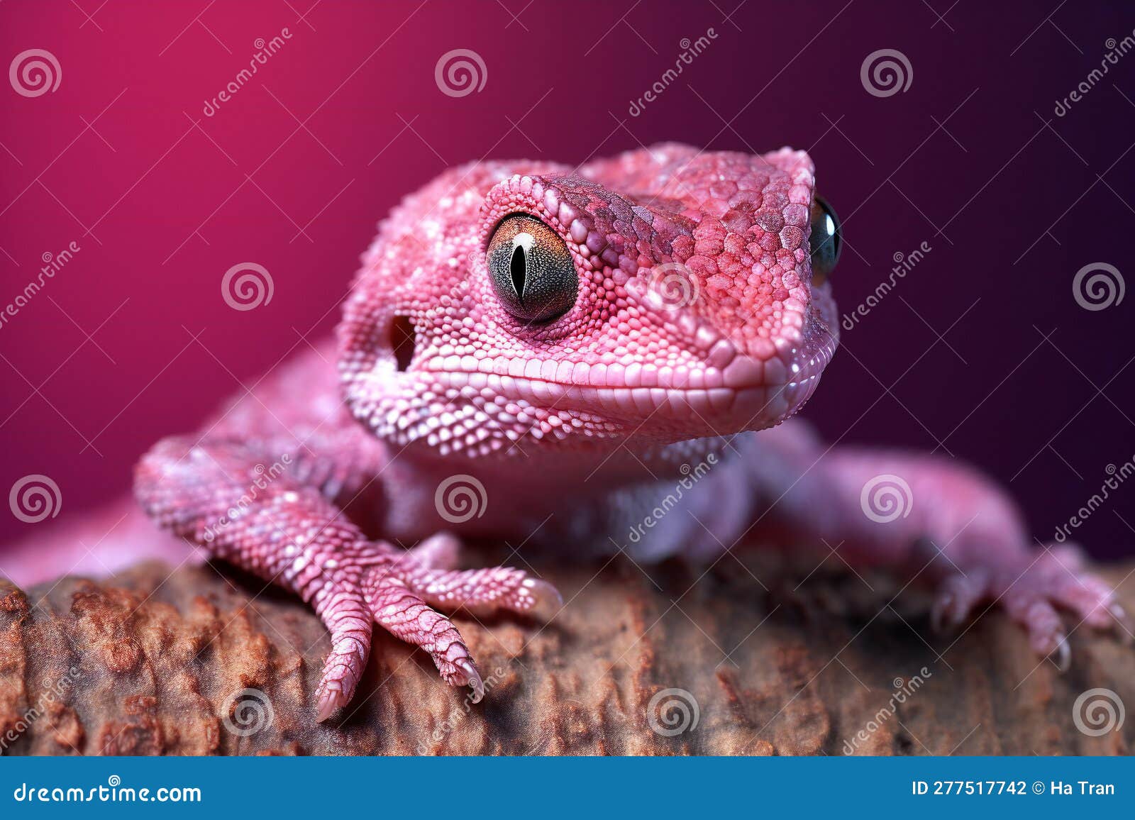 Art With Pink Gecko Silhouette With Heart Shapes Cartoon Vector ...