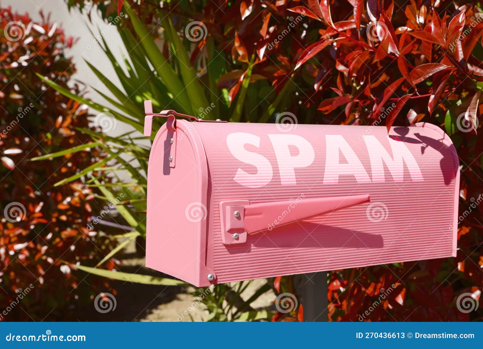 Pink Letter Box with Word Spam Near Plants Outdoors Stock Image - Image ...