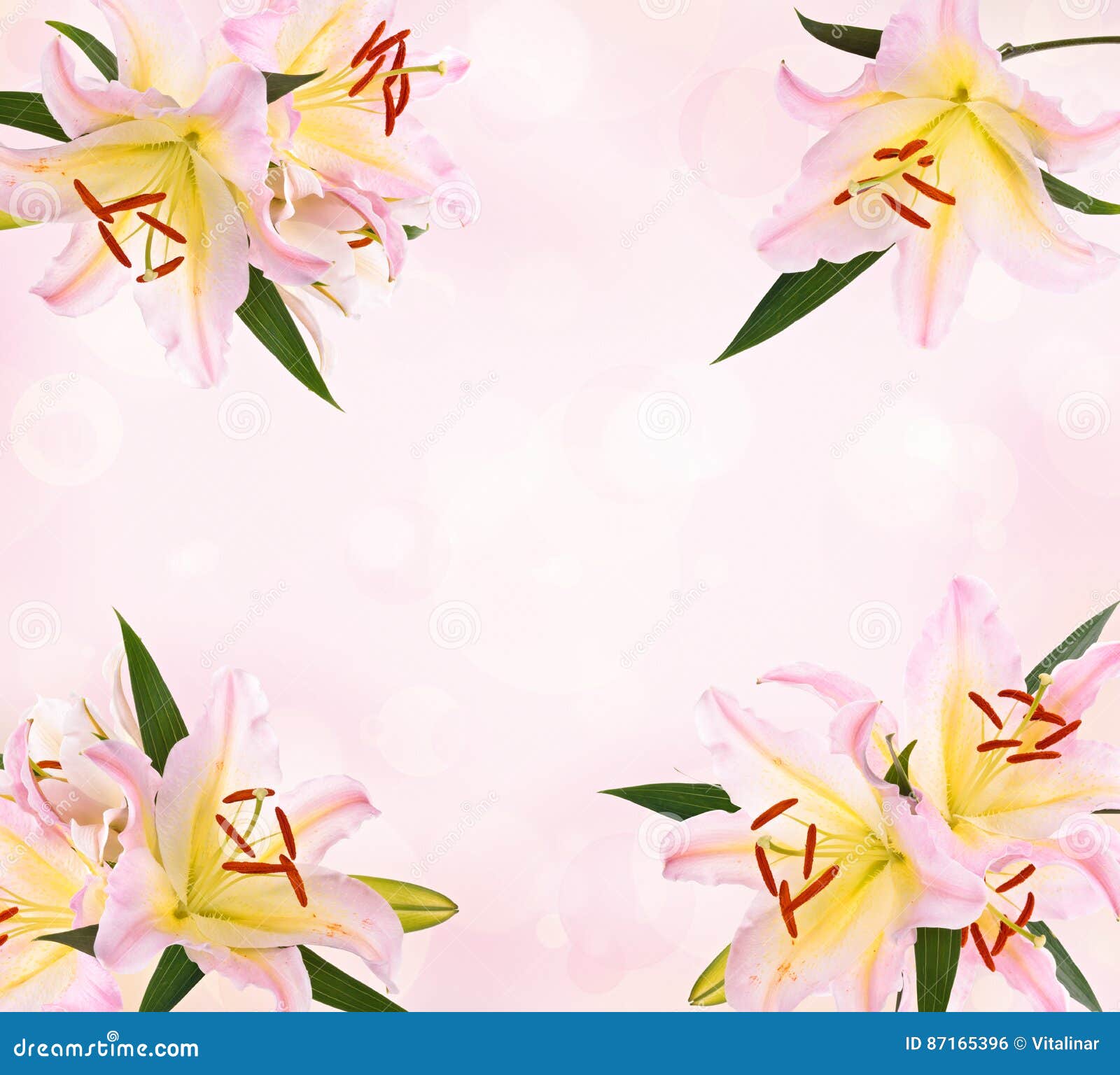 Pink lilies Frame. stock illustration. Illustration of element - 87165396