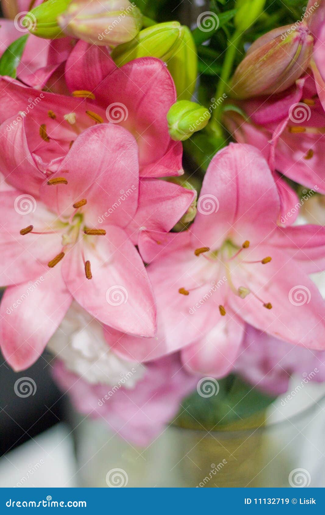 Pink lily stock image. Image of floral, lily, gift, color - 11132719