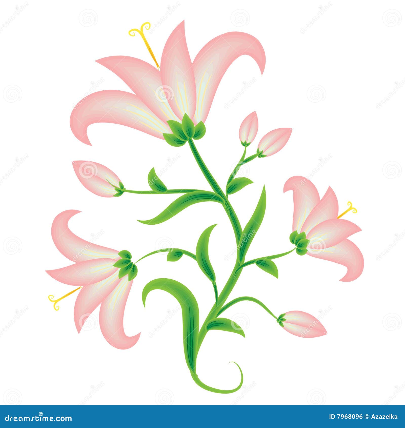 Pink lily stock vector. Illustration of nature, beautiful - 7968096