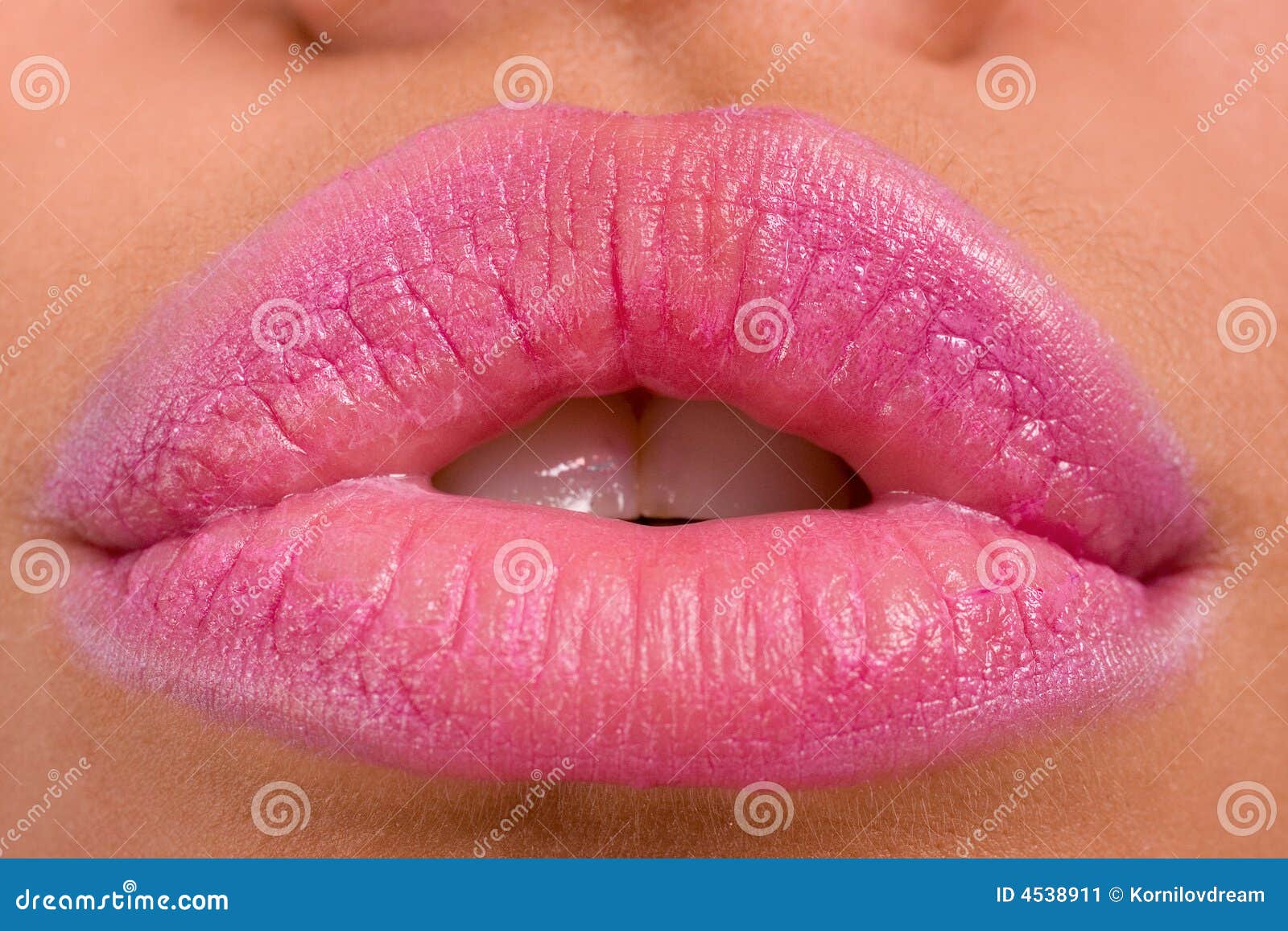Pink Lips stock image. Image of kiss, exotic, lips, person - 4538911