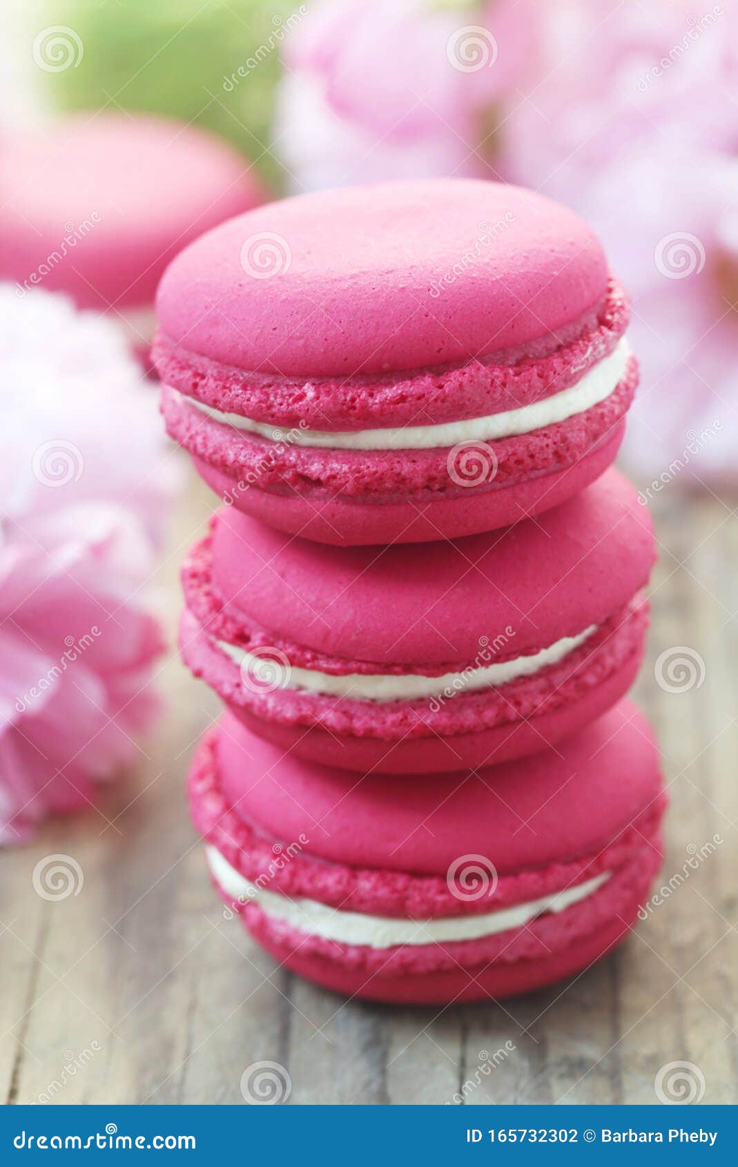 Pink Macarons stock photo. Image of macarons, gourmet - 165732302