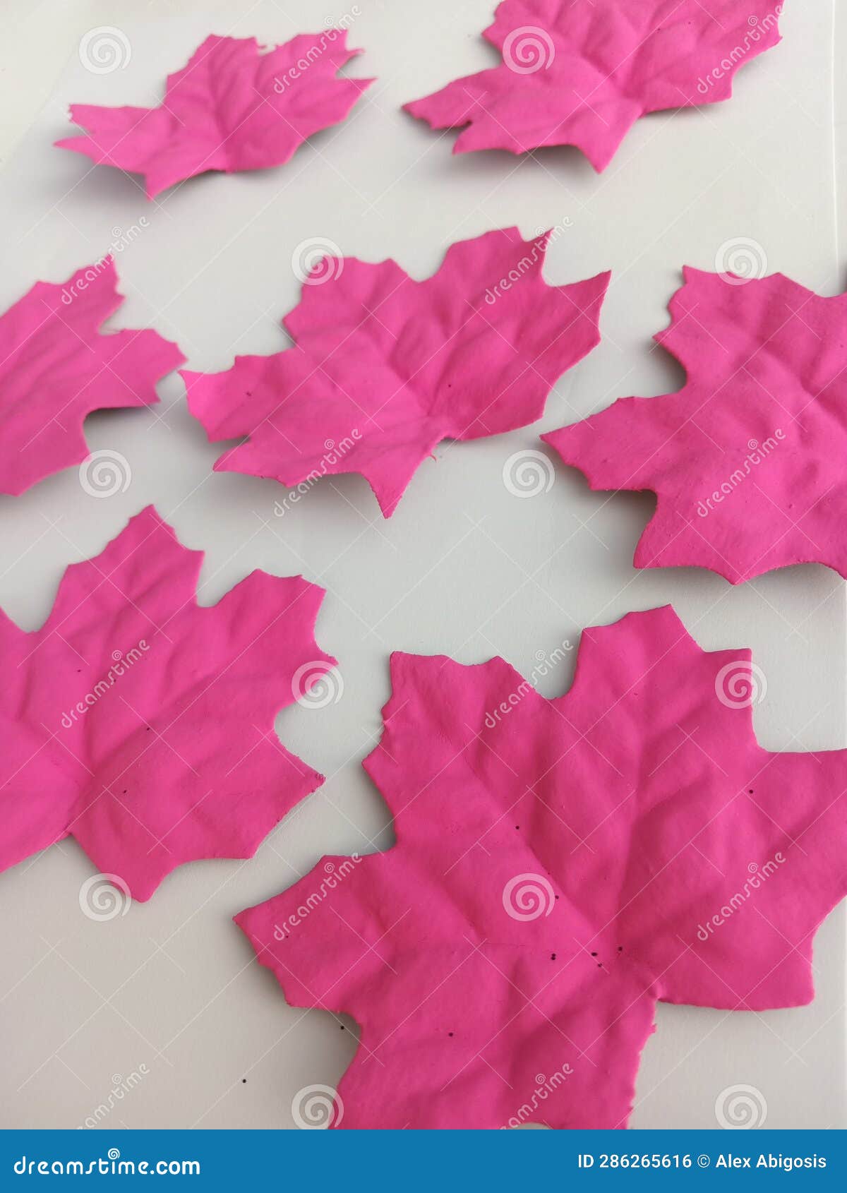 Pink Maple Leafs on a White Background Stock Illustration ...