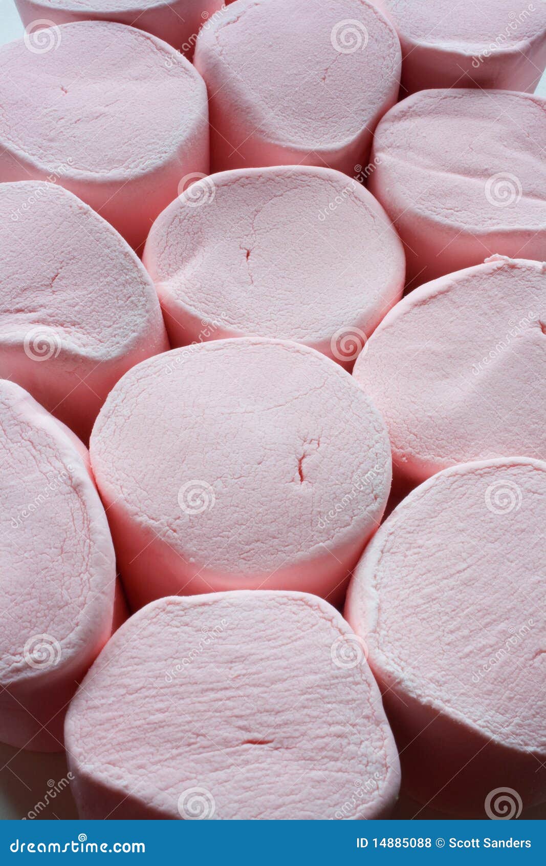 Pink Marshmallows stock photo. Image of toasted, treat - 14885088